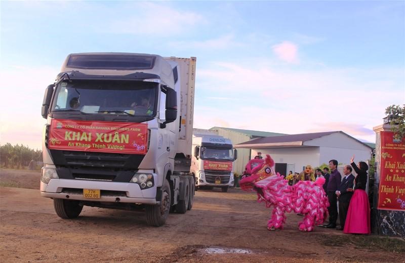 10 Containers of Dak Lak bananas officially exported to China during ...
