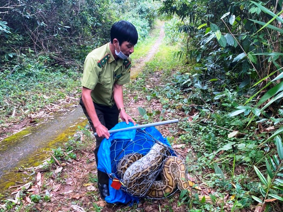 Receive and release 5 wild animals back to nature - Detail news - Trang chủ